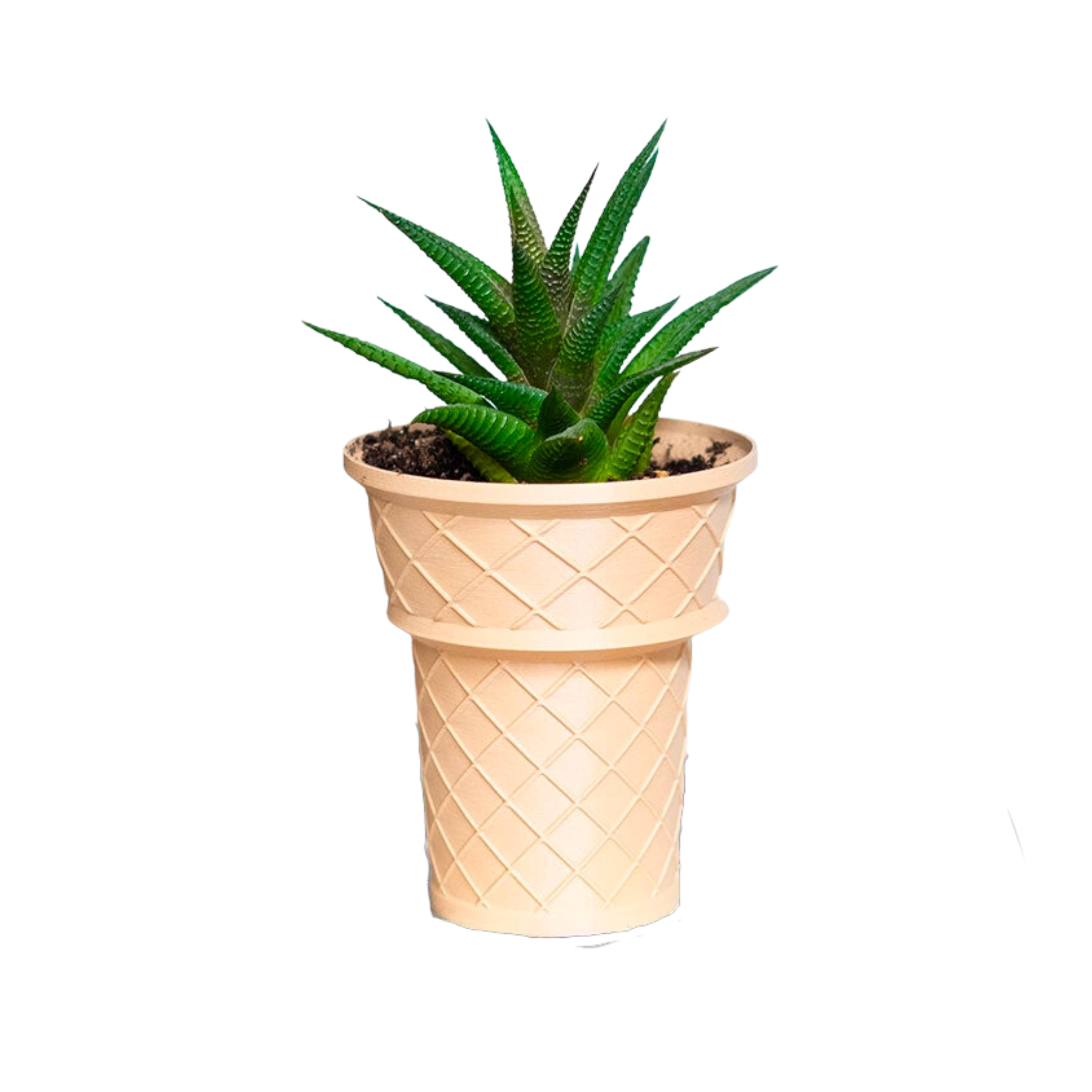 Ice Cream Cone Plant Pot – Golden Hour Gift Co