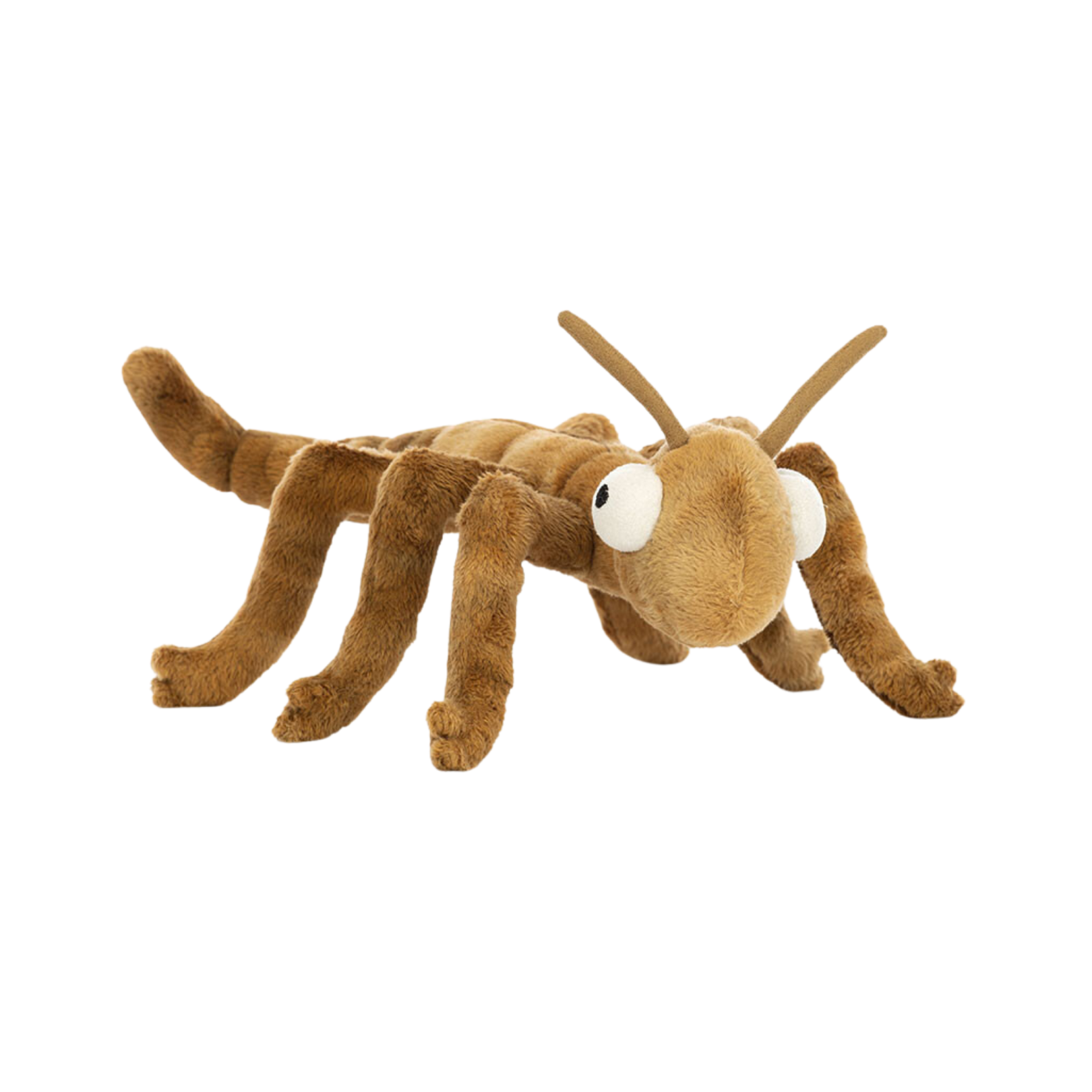 Stanley Stick Insect – Golden Hour Gift Co