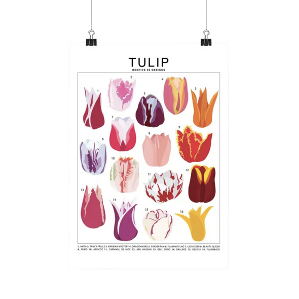 Tulip Species Id Chart - Botanical Floral Art Print – Golden Hour Gift Co