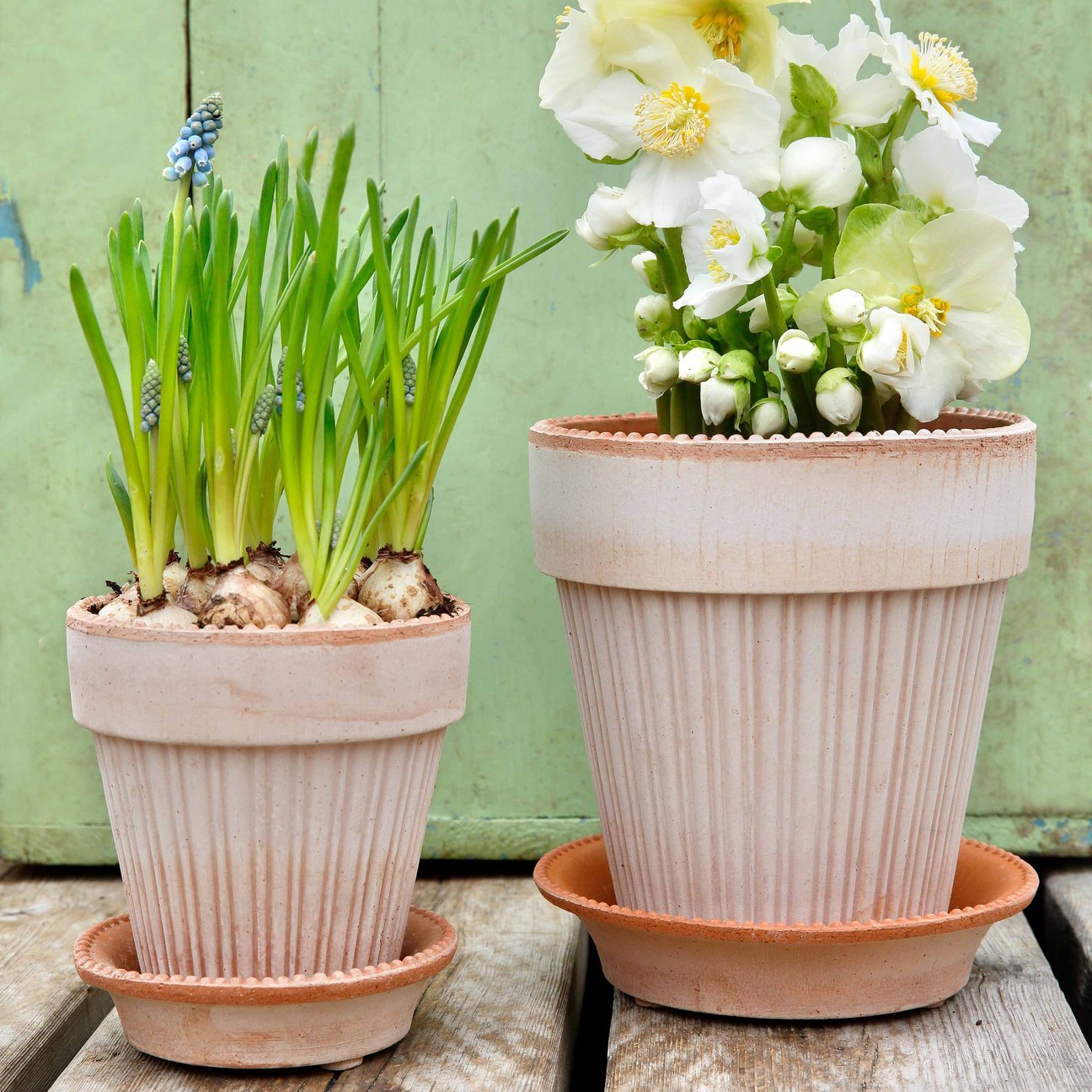 Simona Pot – Golden Hour Gift Co