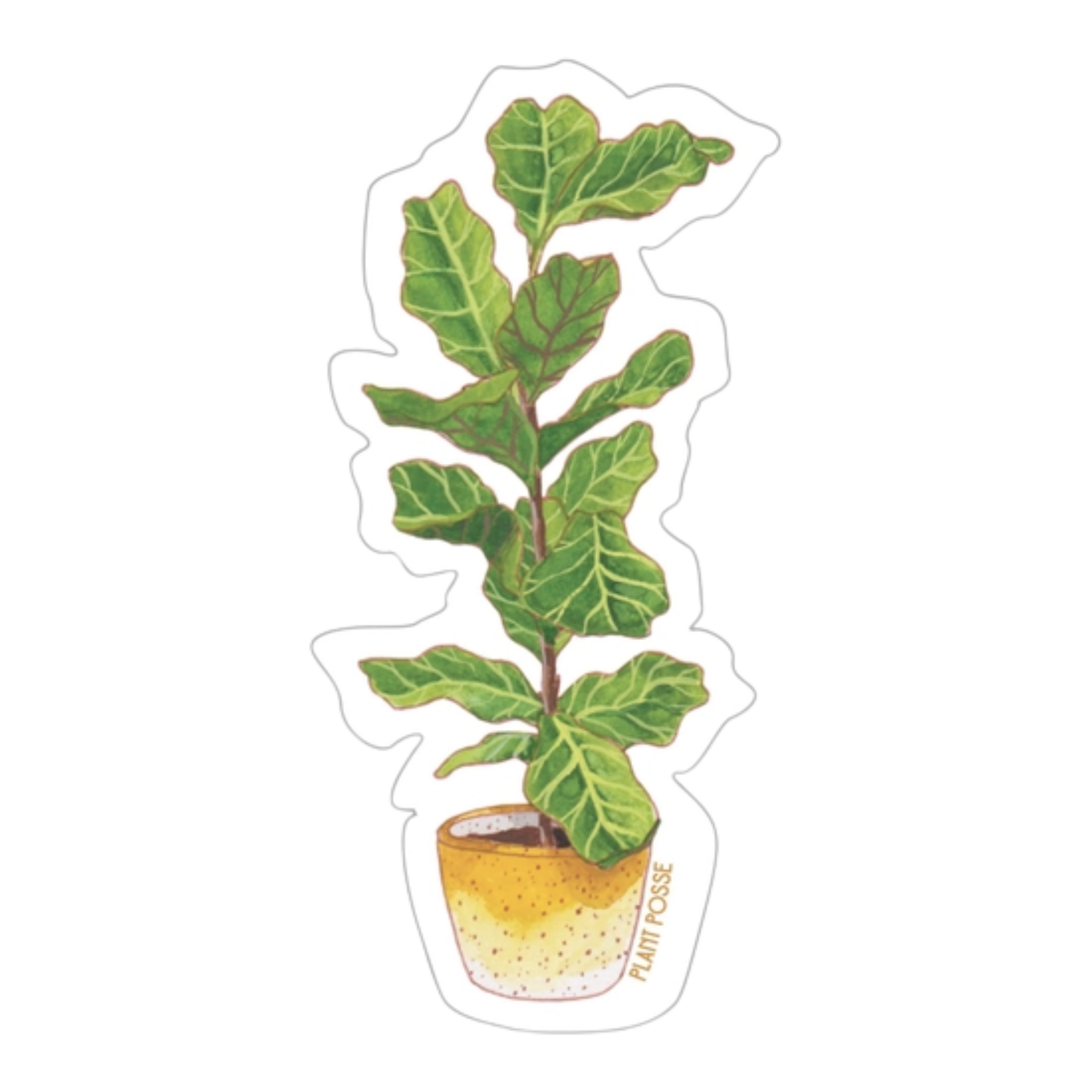 Fiddle Leaf Fig Sticker – Golden Hour Gift Co